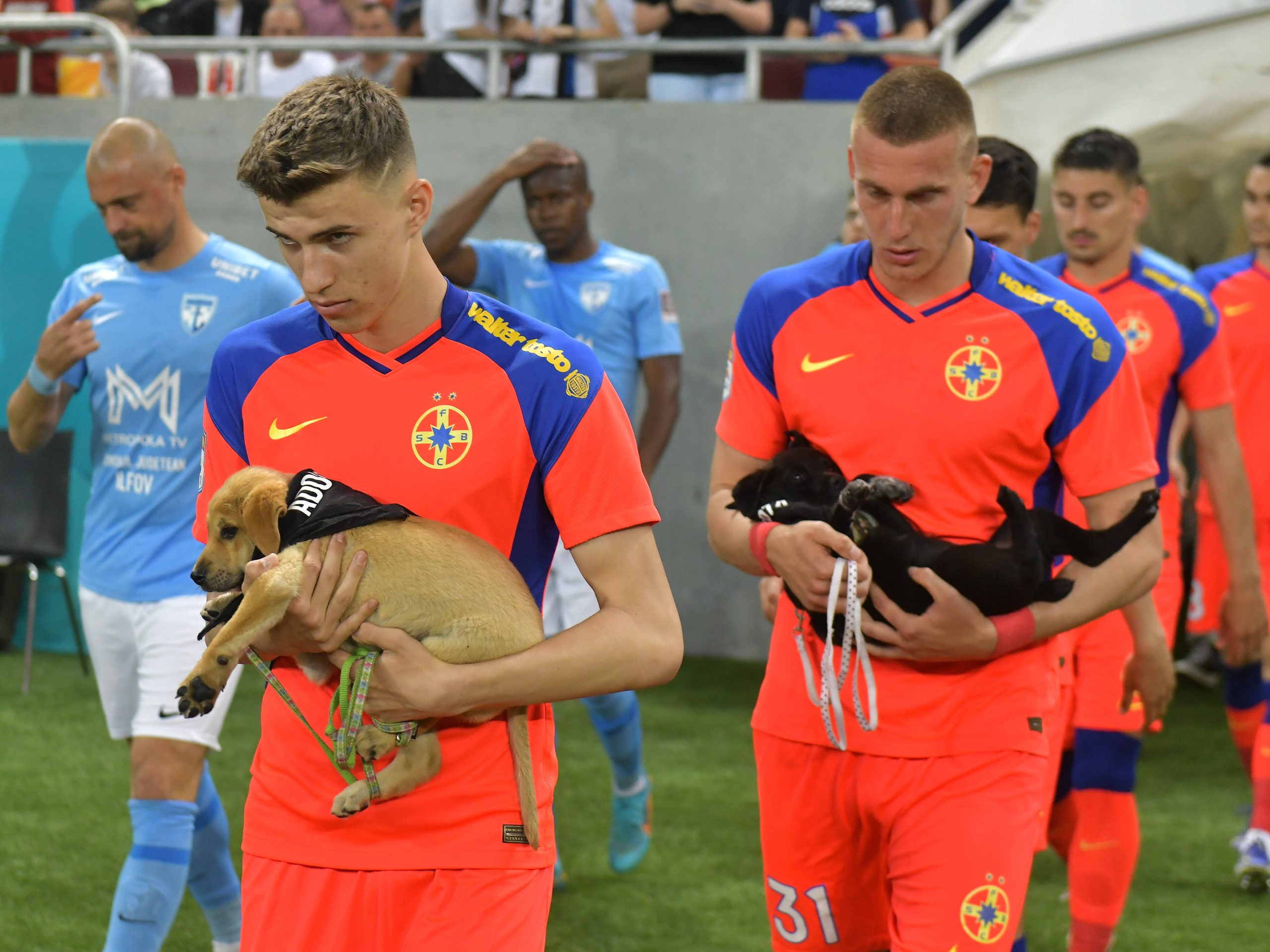 Unde e sfătuit Octavian Popescu să joace după ce FCSB a ratat titlul ...