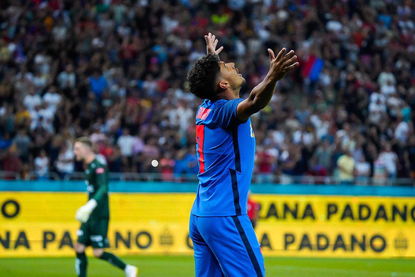 Șansă nesperată pentru Florinel Coman. Jucătorul vicecampioanei este în ...