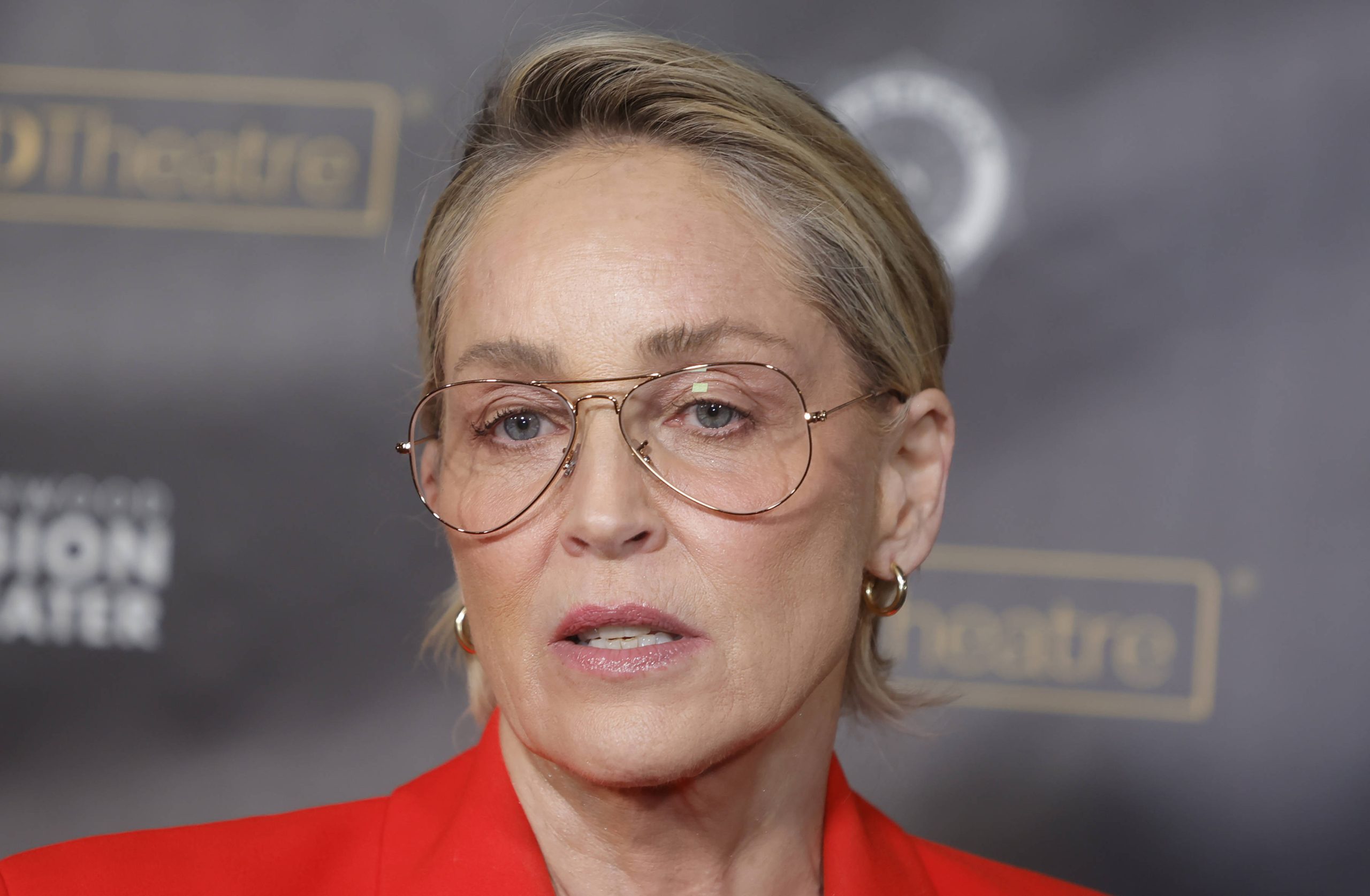 Dezvăluiri incredibile făcute de Sharon Stone. Cât a câștigat pentru ...