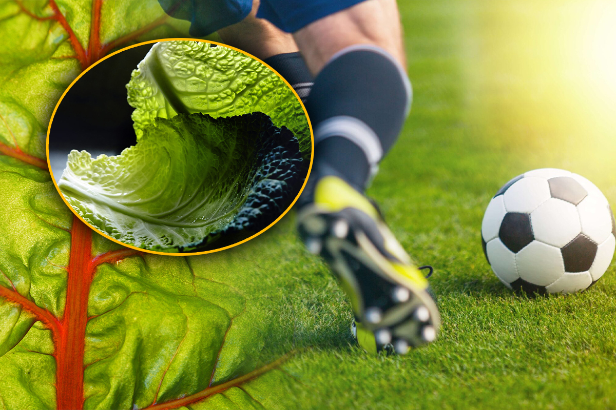 Ăsta e sfatul anului pentru fotbaliști. De ce e bine să-și pună frunze ...